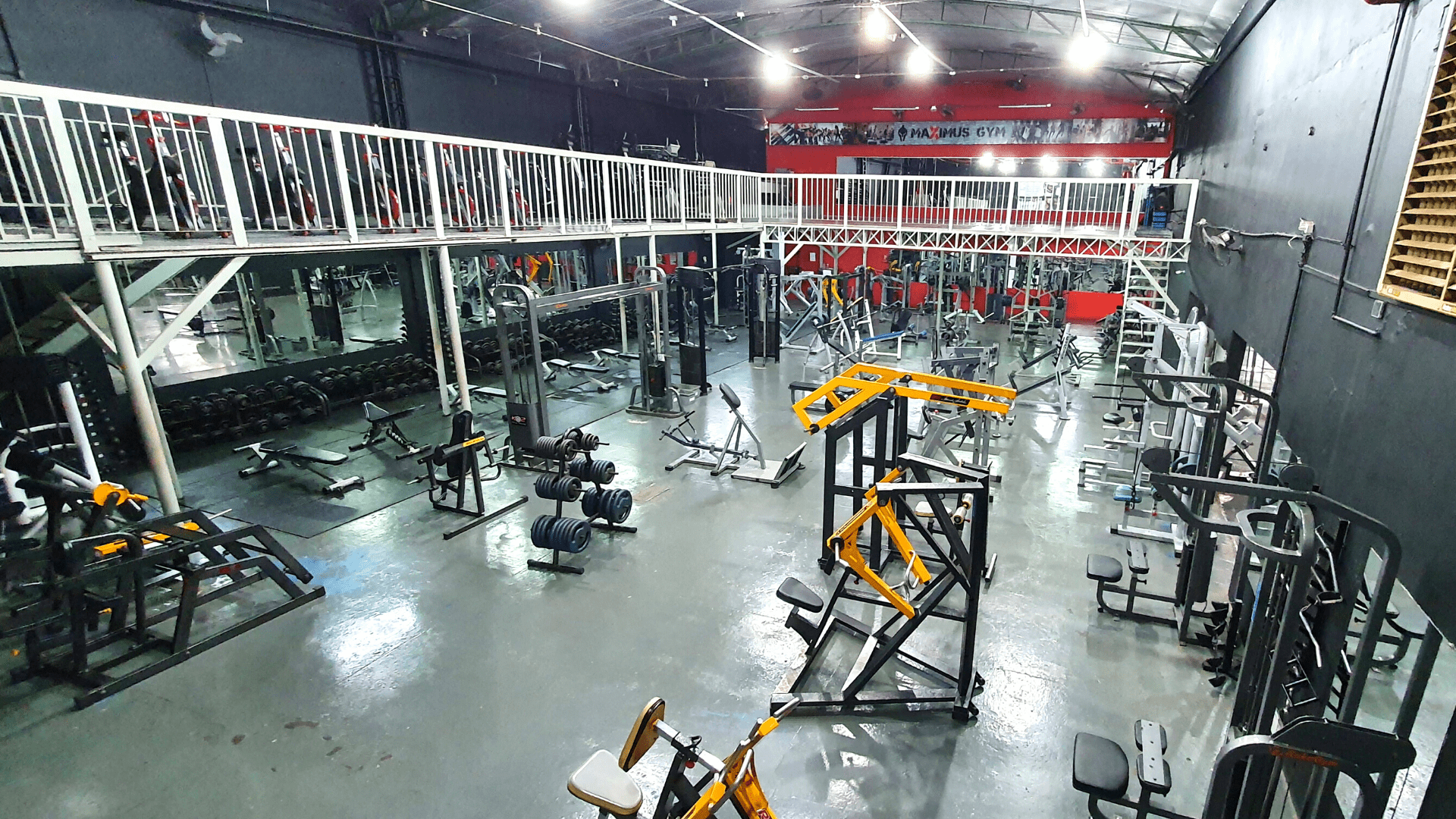 Maximus Gym Unidade Independência