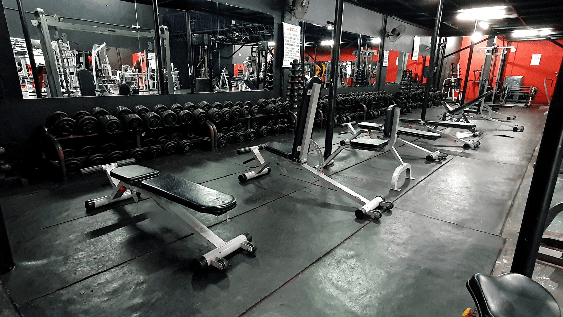 Maximus Gym Unidade Independência