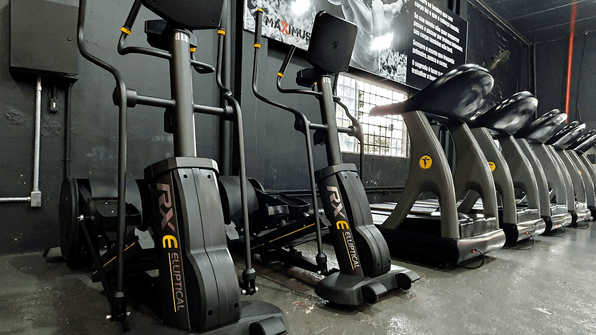 Maximus Gym Unidade Independência